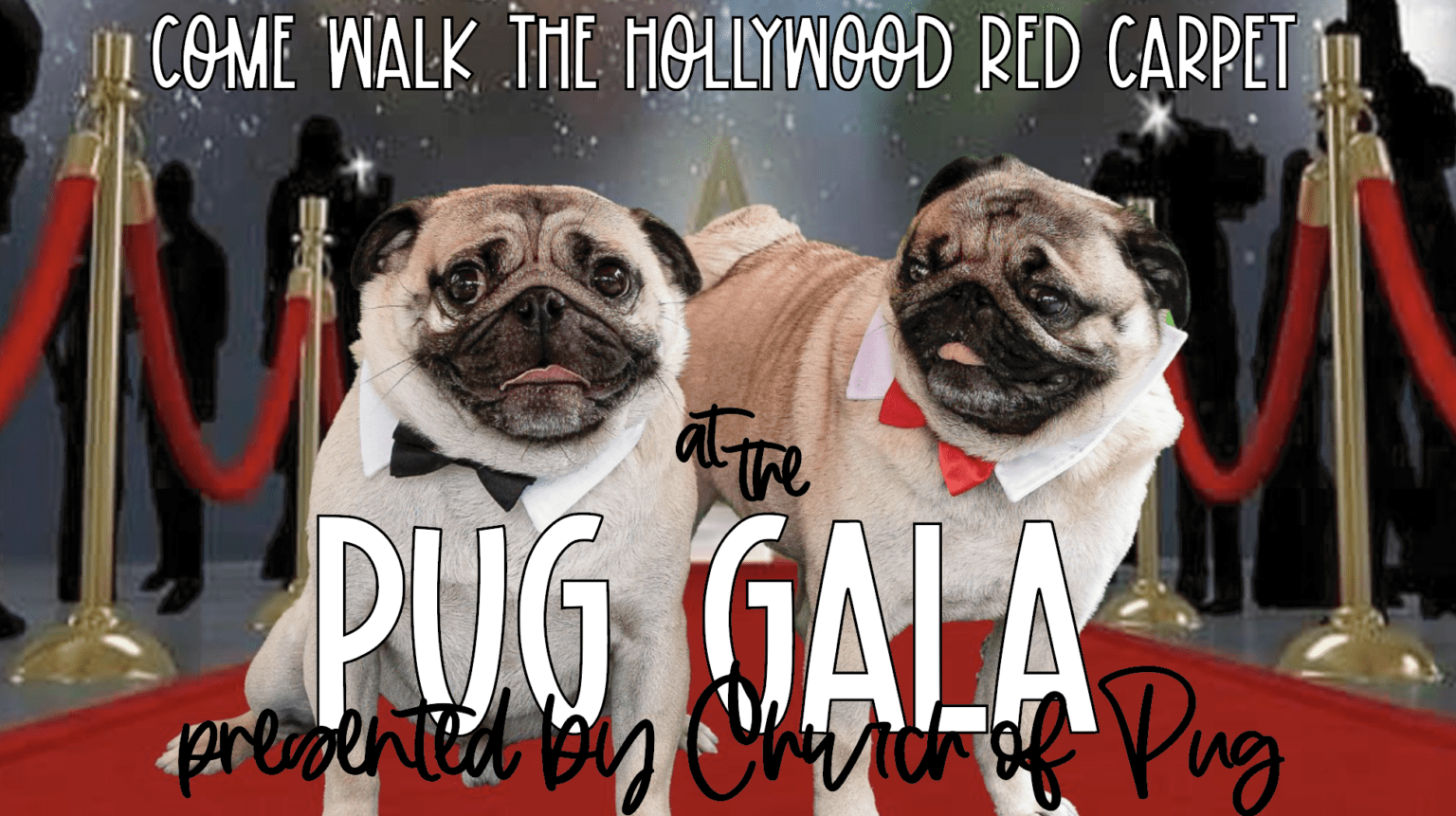 Church of Pug – Your Washington State Pug Rescue
