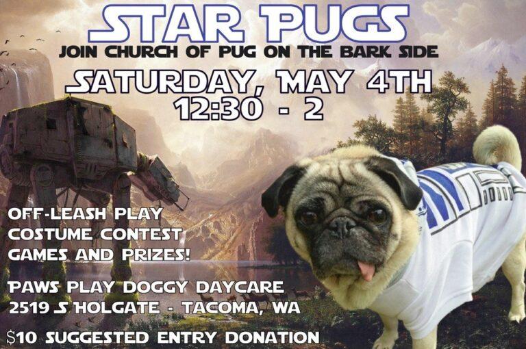 Church of Pug – Your Washington State Pug Rescue