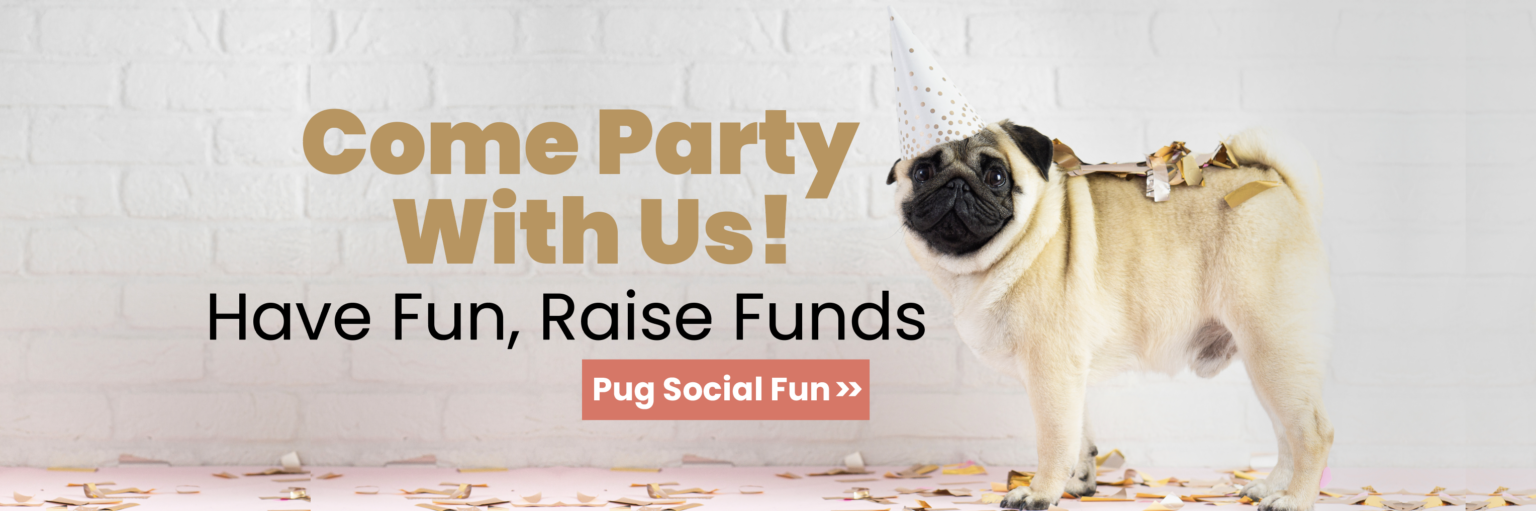 Church of Pug – Your Washington State Pug Rescue