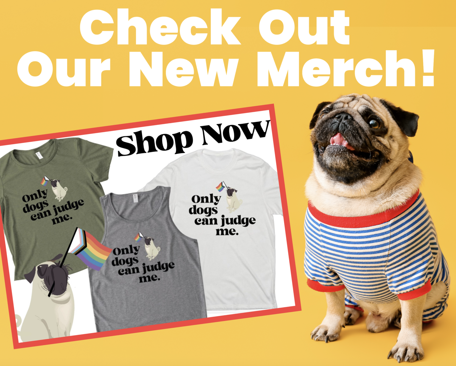 Church of Pug – Your Washington State Pug Rescue