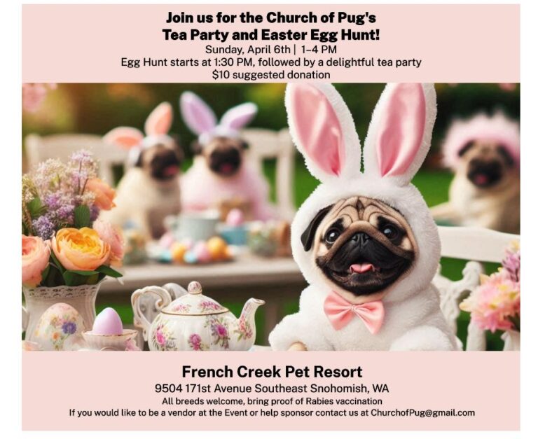 Church of Pug – Your Washington State Pug Rescue